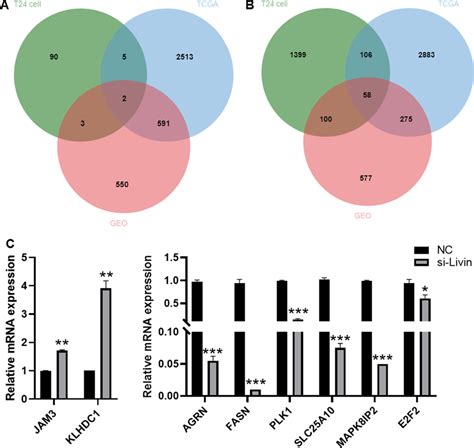 Identification Of Co Differentially Expressed Genes From T24 Cell Data Download Scientific