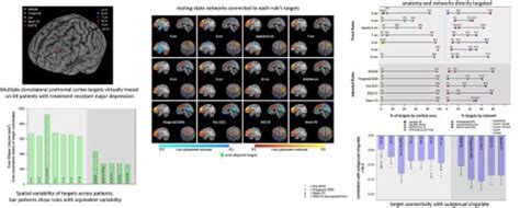 Dr Zohreh Majd On Linkedin Anatomical And Fmri Network Comparison Of