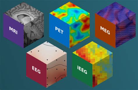 Add Nirs Modality To Ui · Issue 2712 · Openneuroorgopenneuro · Github