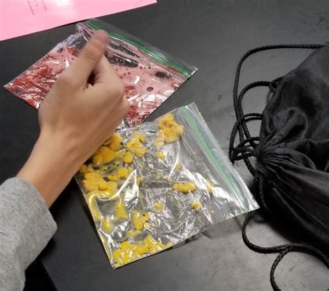 How Would You Extract DNA Feed The World