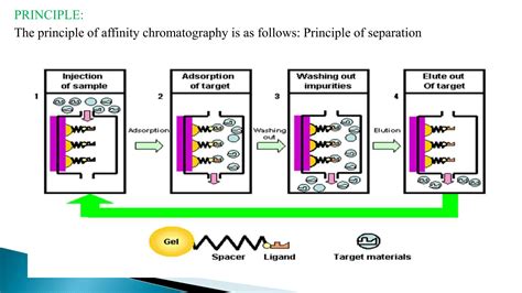 Affinity Chromatography Pptx