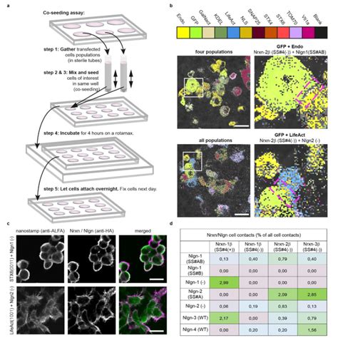Multiplex Identification Of Proteins Using A Neural Network Based Download Scientific Diagram
