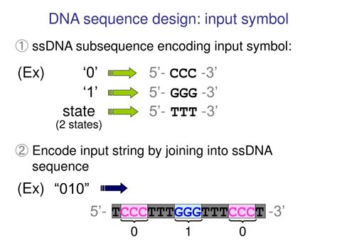 Ppt Bio Molecular Computing Of Finite State Automata Powerpoint Presentation Id 3389623