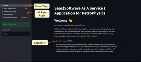 how to code saas software as a service web app in python using streamlit by prateekkumar