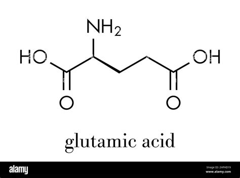 Glutamate Structure