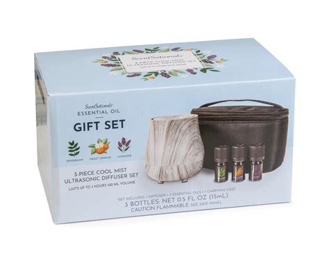 Room Diffuser T Set At Scott Drain Blog