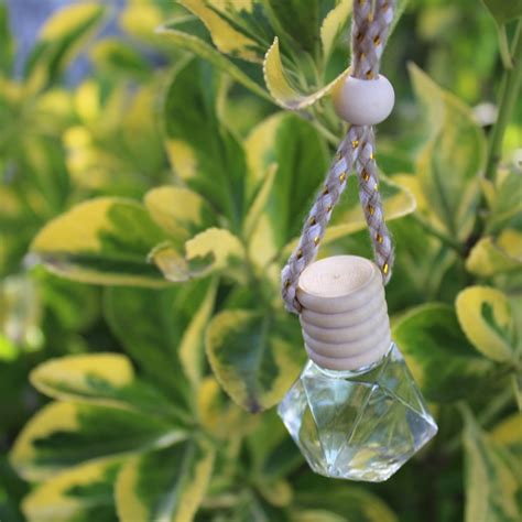 Car Shape Diffuser Etsy
