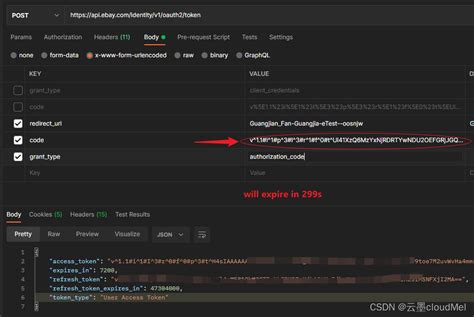 Ebay The Provided Authorization Grant Code Is Invalid Or Was Issued To Another Client Csdn博客