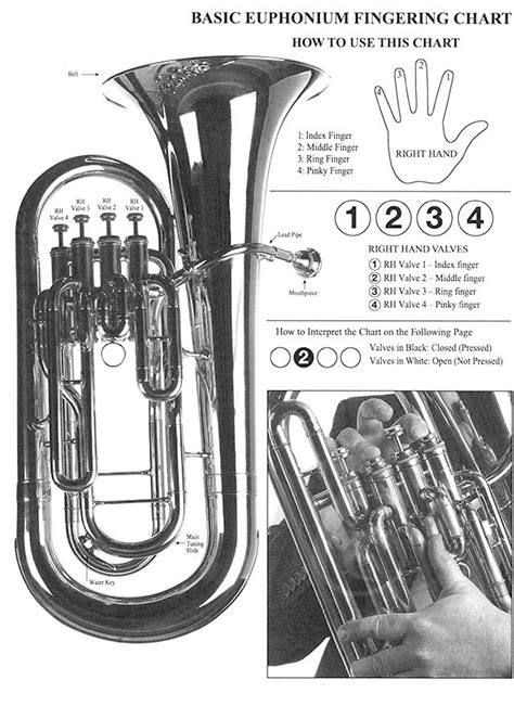 17 Fingering Chart Euphonium Billiemelis