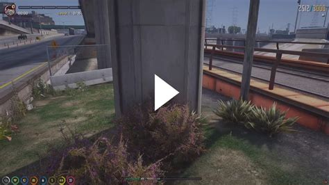 Ray C The Perfect Vantage Point R Rpclipsgta