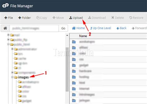 Upload Dan Download File Hosting Melalui File Manager Cpanel