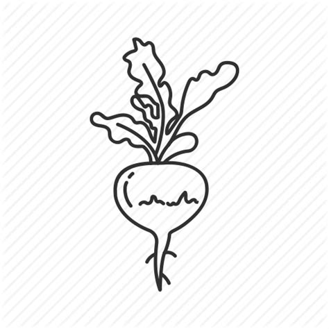 Crops Drawing At PaintingValley Com Explore Collection Of Crops Drawing