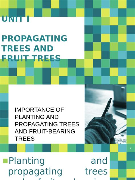 Lesson 1 Importance Of Planting And Propagating Trees And Fruit Bearing