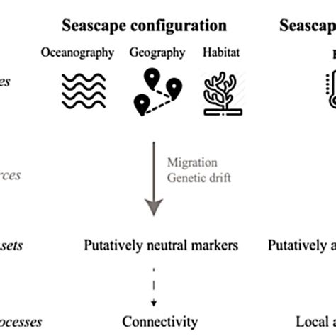 Conceptual Framework Of The Seascape Genomics Approach Figure Taken Download Scientific