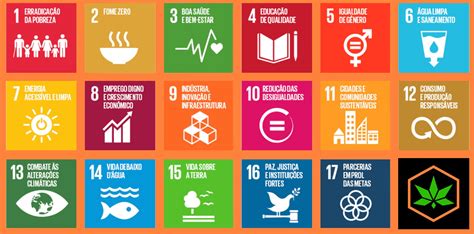 O Que é Ods Quais Os Objetivos Da Agenda 2030 Kanna Coin