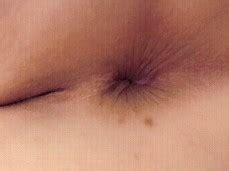 Ass Spread Porn Gif Pornhub Com Ass Spread Porn Gif Pornhub Com