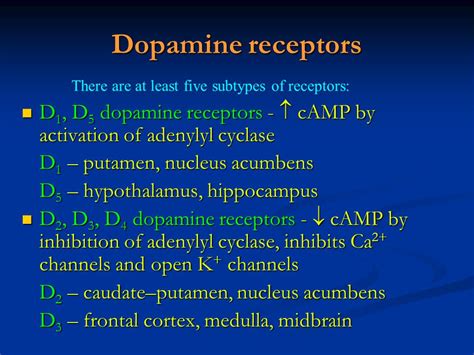 Dopamine Receptors D1 D2