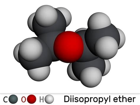 Coenzyme A Coa Shcoa Coash Molecule Essential Coenzyme In Fatty Acid