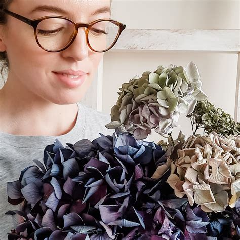 Drying Hydrangea A Florists Insights And Tips 5 Min Read Bracken And Berry