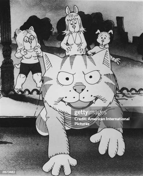 89 Fritz The Cat Photos And High Res Pictures Getty Images