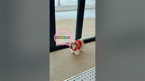 눈이와도 괜찮아~ 추워도 괜찮아~ Youtube