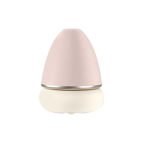 Warm Egg Vibrator Females Intimate Toy The Leten