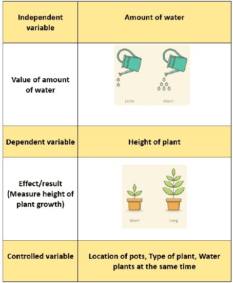 12 Designing Experiments Whats Being Tested Chemistry Libretexts