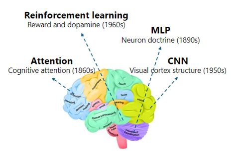 当ai遇见大脑：电脑与人脑协同“进化” Learning Topology Agnostic Eeg Representationswith Csdn博客