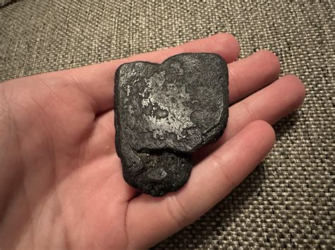 Fossilized Bone Id Rfossilid