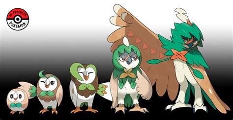 Rowlet Line by InProgressPokemon Pokemon lune Pokemon réaliste Pokémon