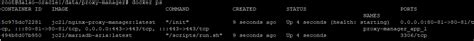 Nginx Reverse Proxy를 쉽게 사용하기 위한 Proxy Manager 구축하기 달소씨의 하루