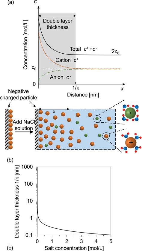 Conceptual Illustrations Of Electrical Double Download Scientific Diagram