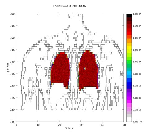 Usrbin Plot For Voxel Geometry Scoring Fluka User Forum