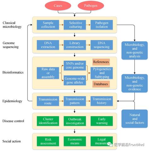 全基因组测序改变细菌性传染病监测和调查模式