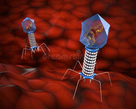 Bacteriophage Cell Culture Background In Velvet With Spikes Dna Stock Vector Illustration Of