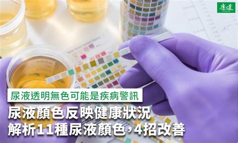 尿液顏色反映健康狀況，解析11種尿液顏色，4招改善 康健雜誌