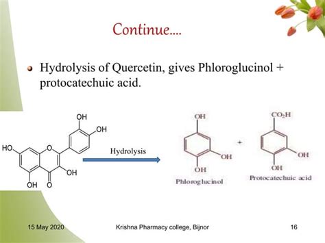 Extraction Isolation And Structure Elucidation Of Flavonoids