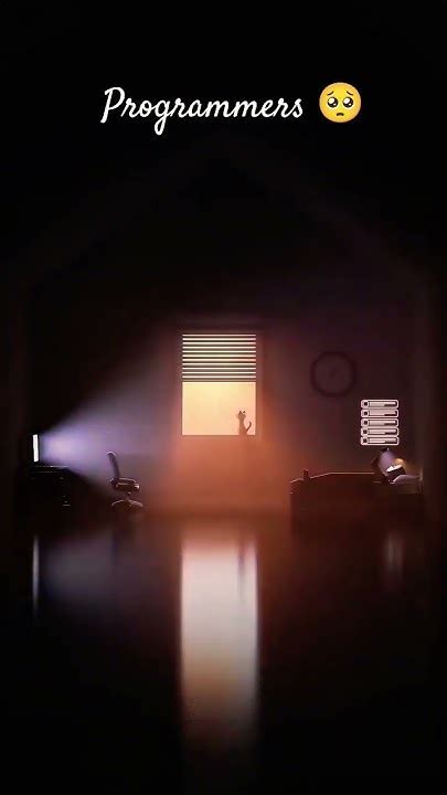 👩💻 Life Of A Programmer Programmer Programming Developer Frontend Webdevelopment Jobaieer