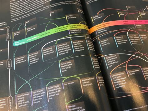 Visualizing Sex As A Spectrum Scientific American