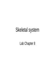 Lab Ch Skeletal System Skeletal System Lab Chapter Compact Bone Lamella Spongy Bone Lacuna