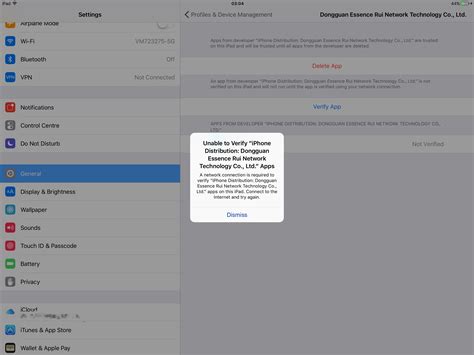 Settings Ios Couldn T Verify App Stack Overflow