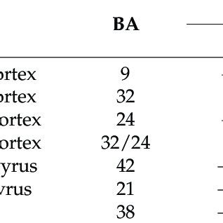 Abnormal FC Of Left Thalamus In VM Patients Compared With HC Download Scientific Diagram