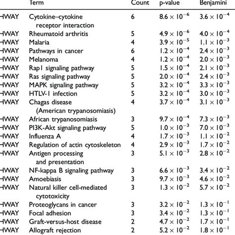 Target Functional Gene Groups As Identified By Functional Annotation