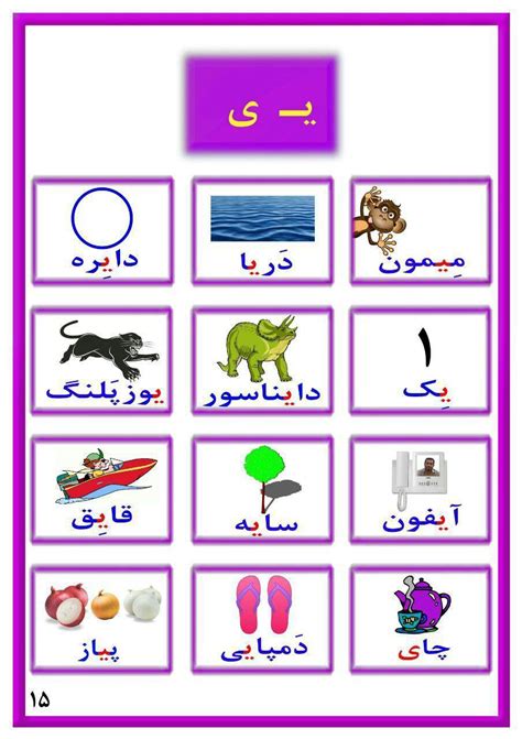 فلش کارت ی دکتر سمیه رحمت