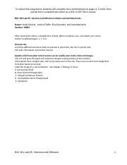 BIO Lab Docx Docx To Submit This Assignment Babes Will Complete The Lab Worksheet On