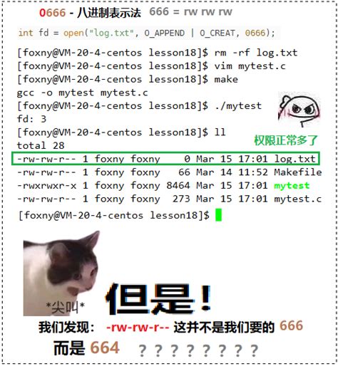 【看表情包学linux】系统下的文件操作 文件系统接口 系统调用与封装 open write close 接口 系统传递标记位