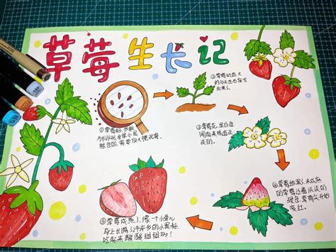 植物生长过程手抄报 植物生长过程手抄报简单又漂亮 色粉画