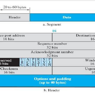 The TCP Protocol Format Download Scientific Diagram