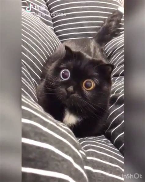 Big Eyes Tumbex