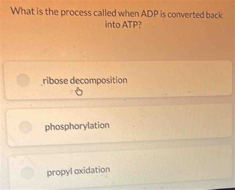 Solved What Is The Process Called When Adp Is Converted Back Into Atp